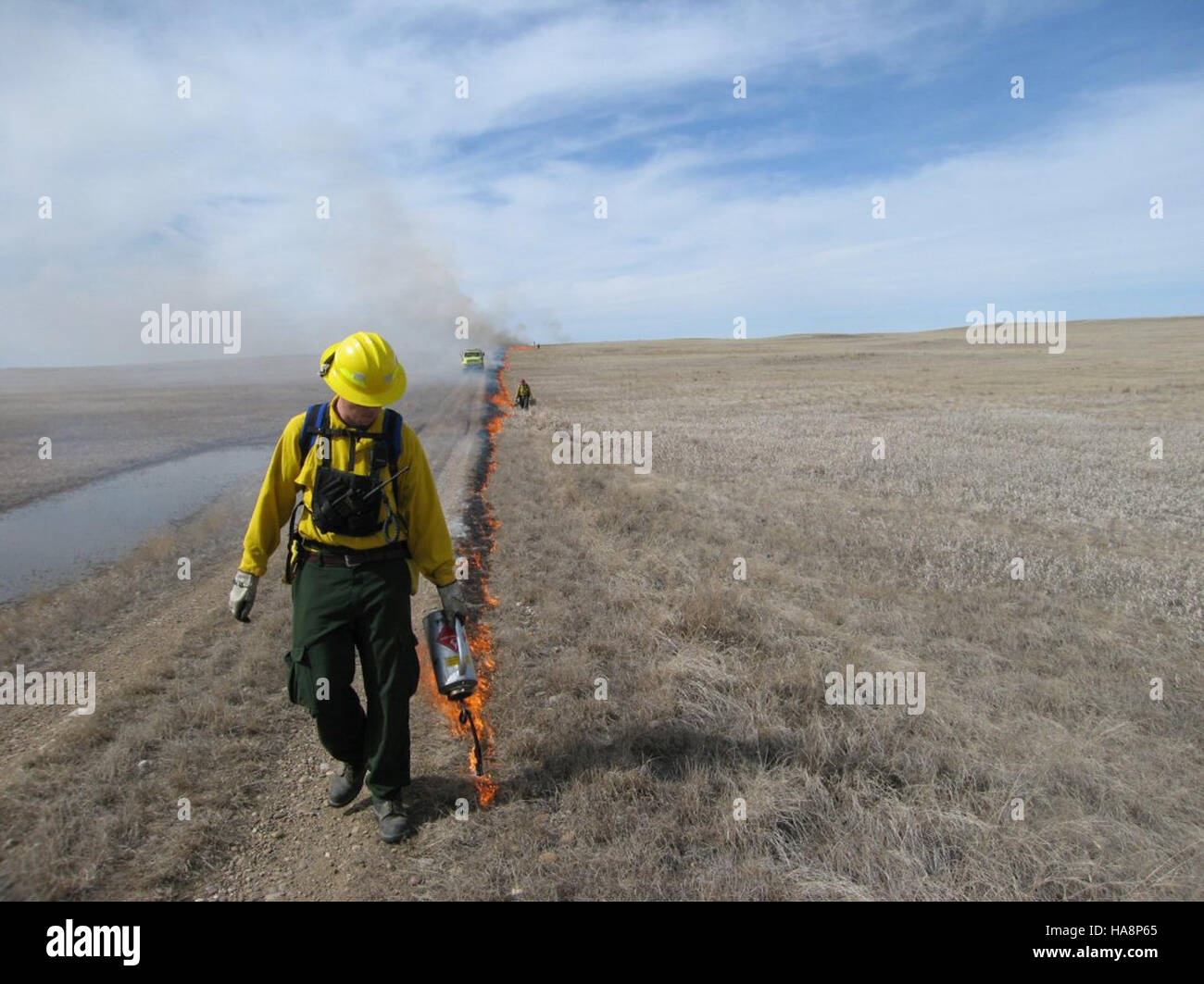 In this conservation effort, volunteers and park staff are lining out ...
