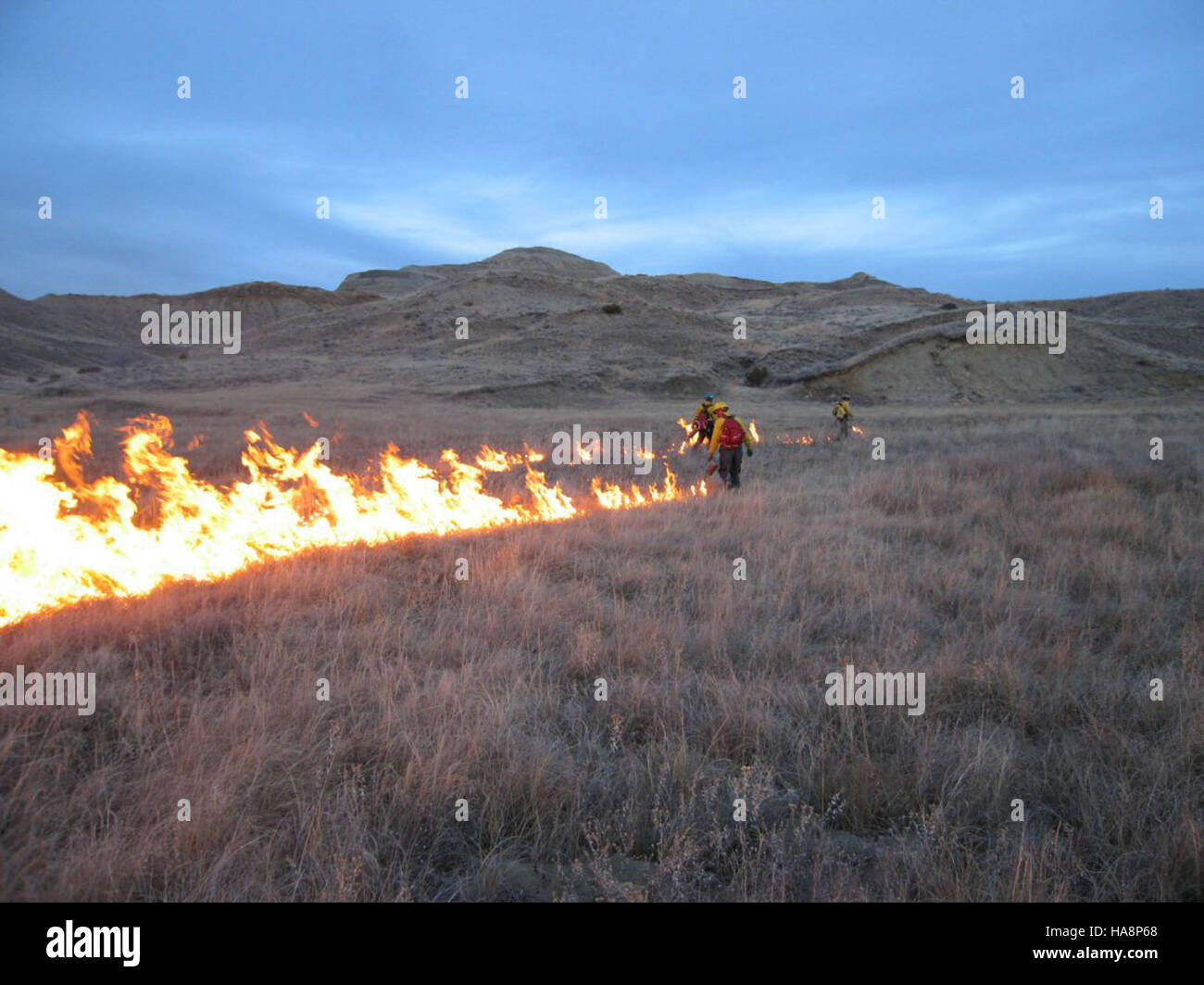 The Black Line project focuses on managing and restoring habitat for ...