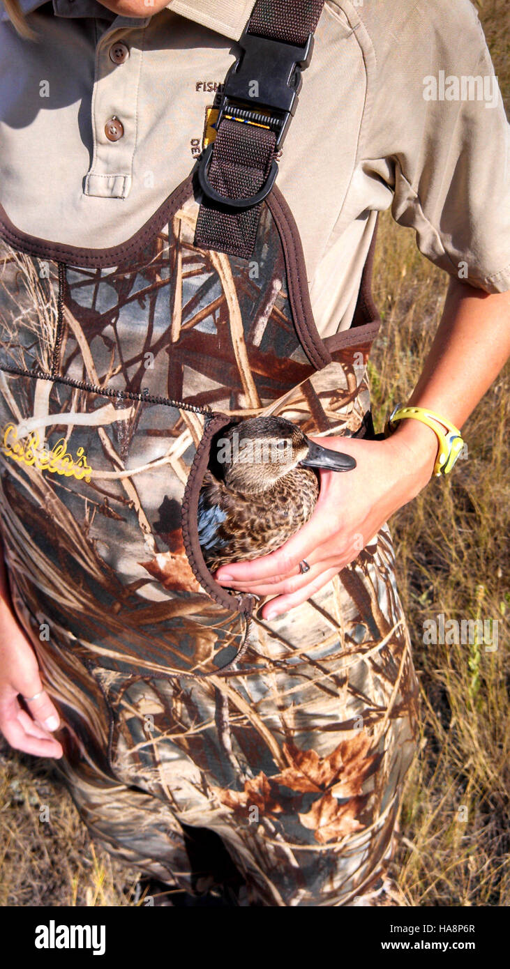 The 'Safe and Secure' program in the Mountain Prairie region emphasizes ...