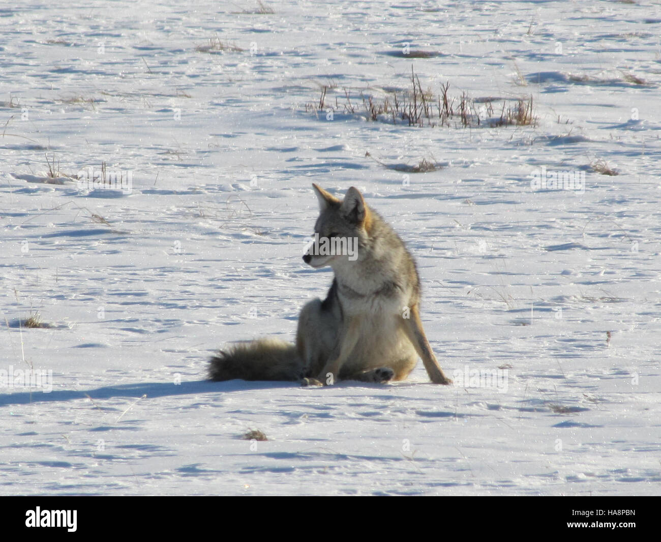 A wildlife observer takes a break in a national park setting ...
