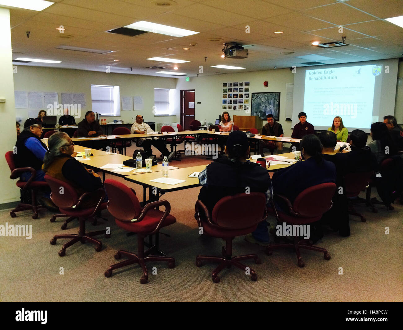 A bald eagle, captured in flight near a mountainous landscape in the ...