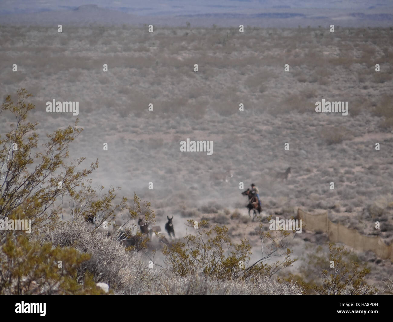 This image from the Bureau of Land Management (BLM) in Nevada depicts ...