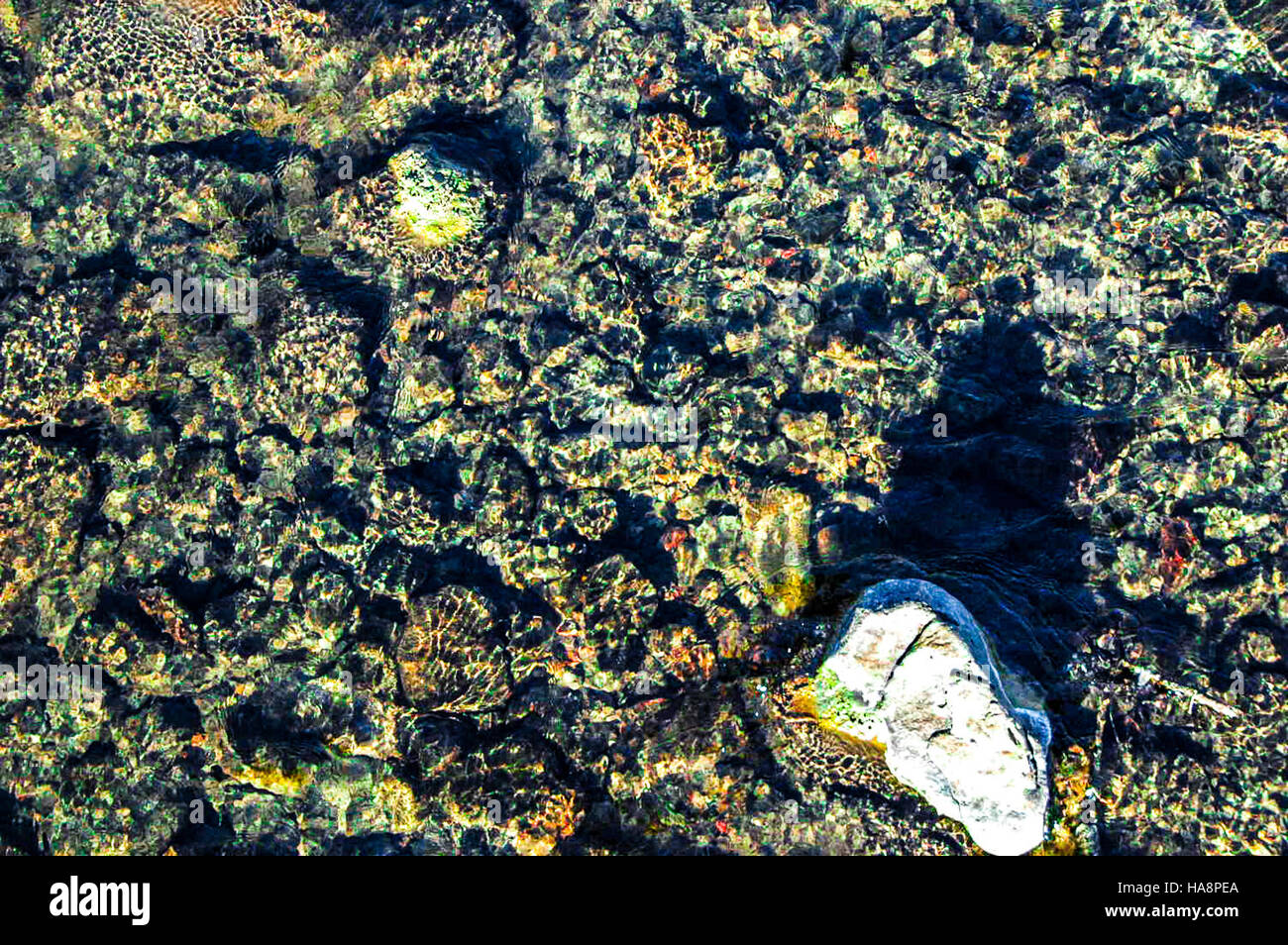 Hidden Colors is an educational initiative by the U.S. Fish and ...