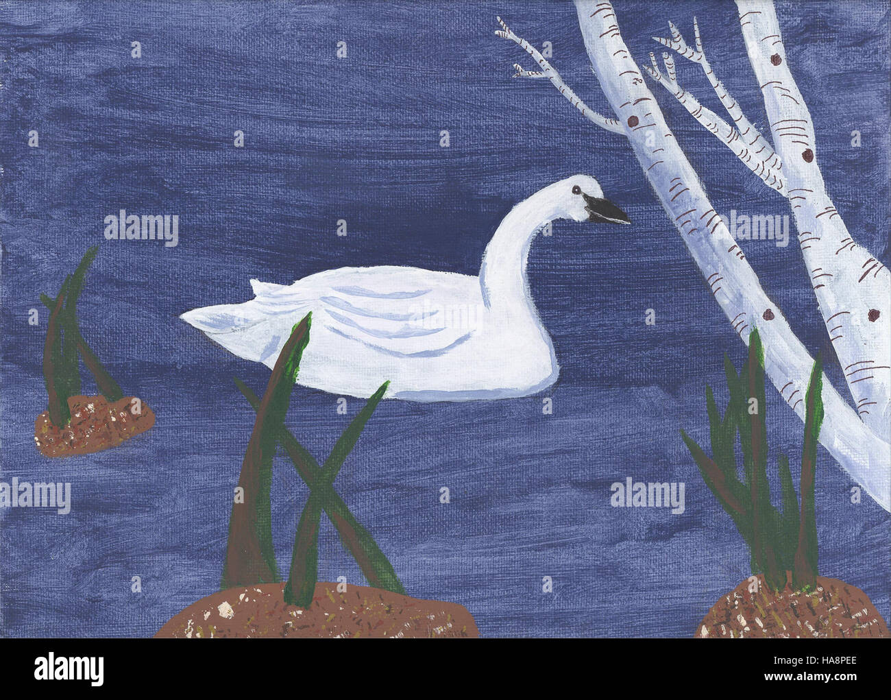 Second fish showcases hi-res stock photography and images - Alamy