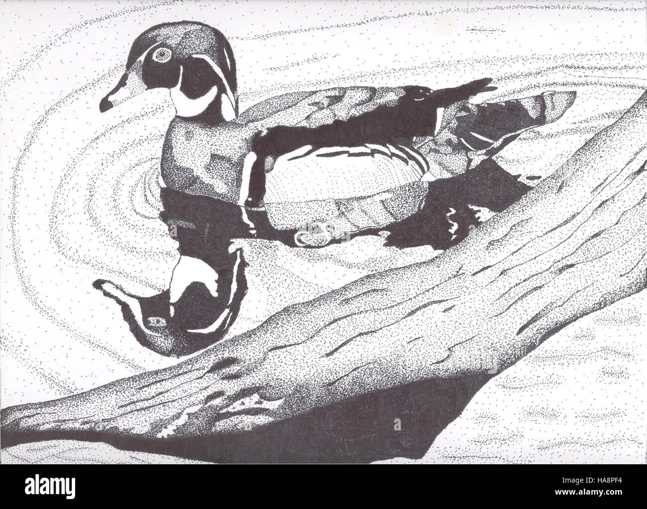 usfwsmtnprairie 13628462594 Jesse Barham Group 4-1st place Stock Photo ...