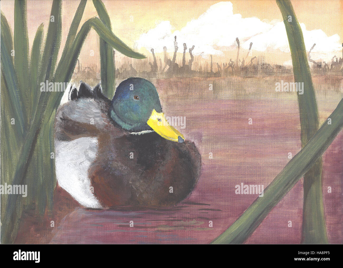 Kailee Smith's team, competing in the U.S. Fish and Wildlife Service’s ...