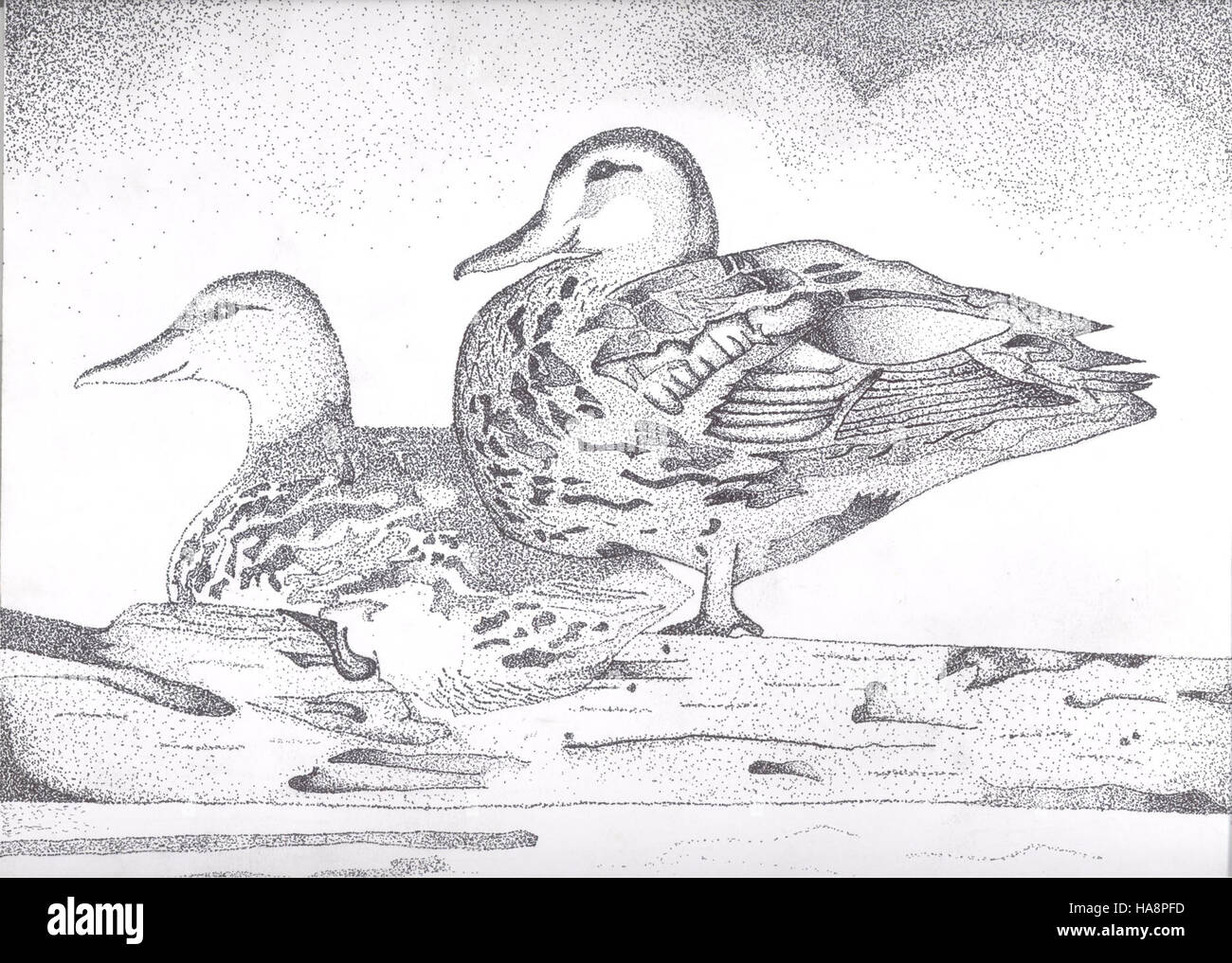 This image features Ty Hartman’s team taking 4th place in a competition ...