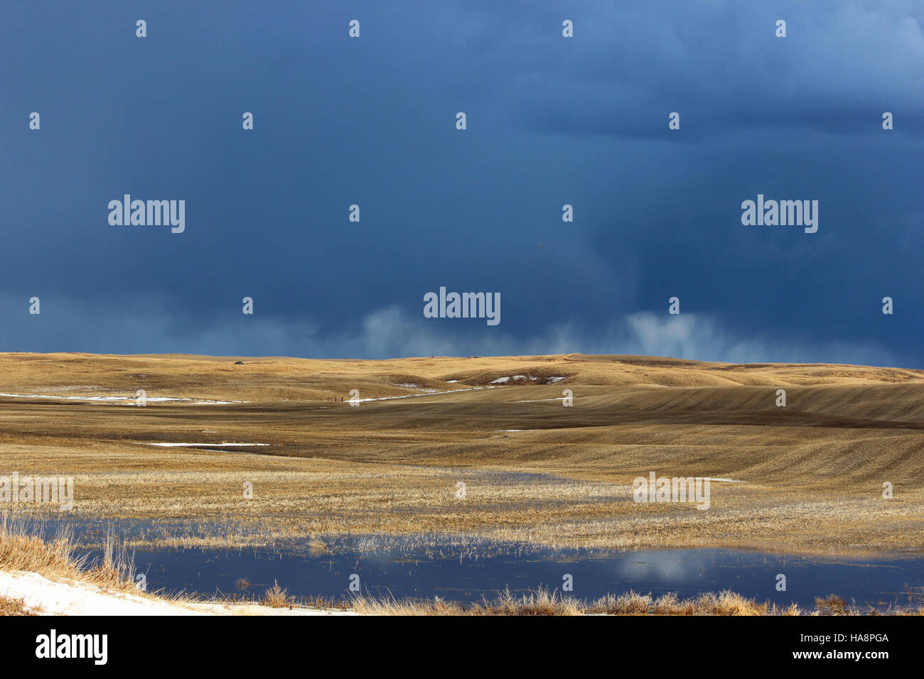 April Showers represents a natural scene capturing the season's ...