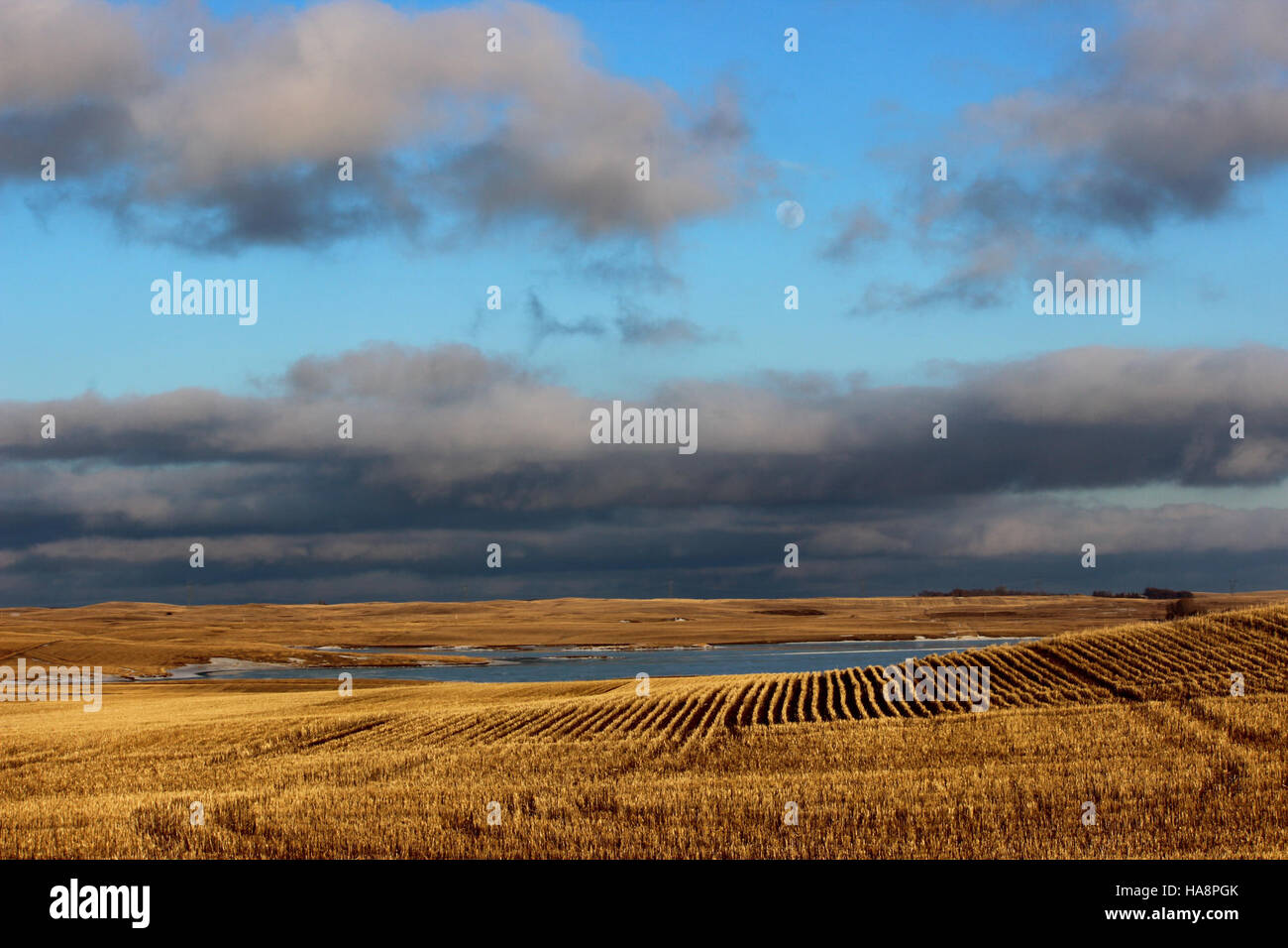 Rural great plains hi-res stock photography and images - Alamy