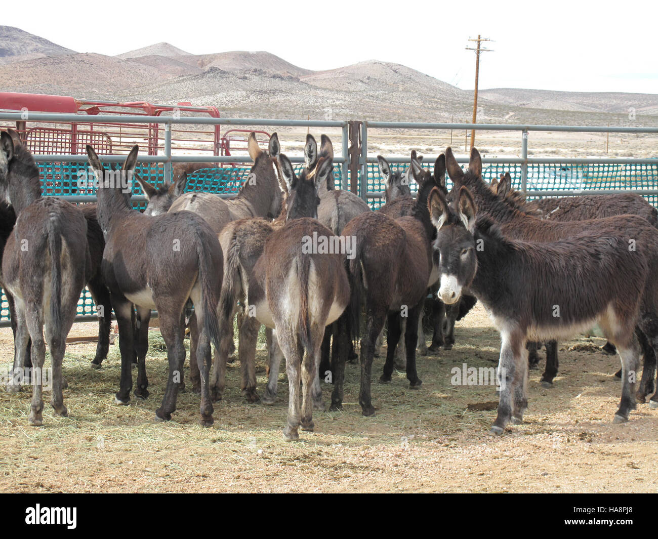 This image from the Bureau of Land Management (BLM) captures the Wild ...