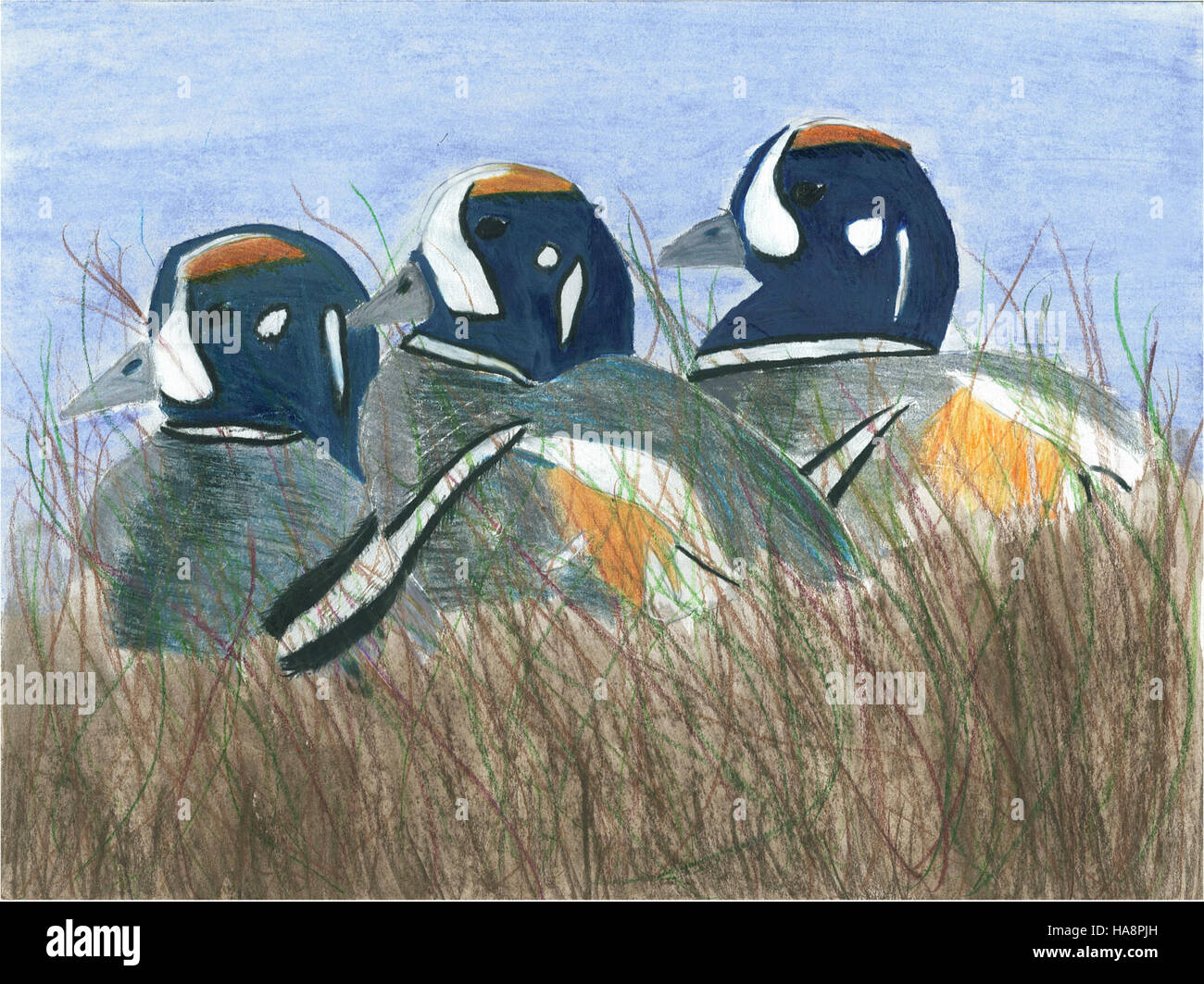 This image shows an 11-year-old from Sherwood, ND, identifying ...