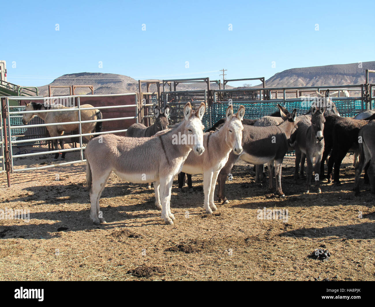 This image from the Bureau of Land Management (BLM) in Nevada captures ...
