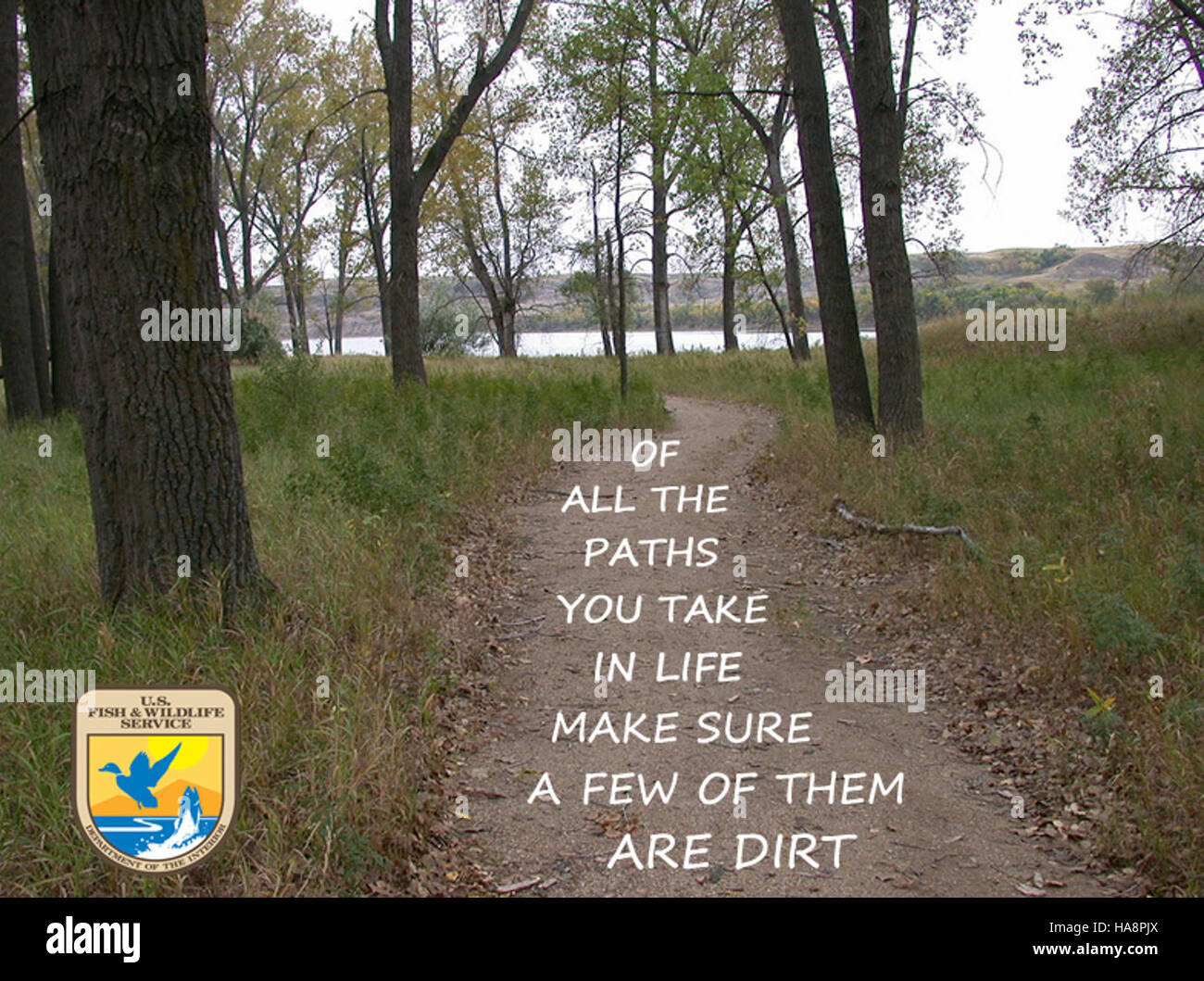 This photograph titled 'DIRT PATHS' captures the natural landscape ...