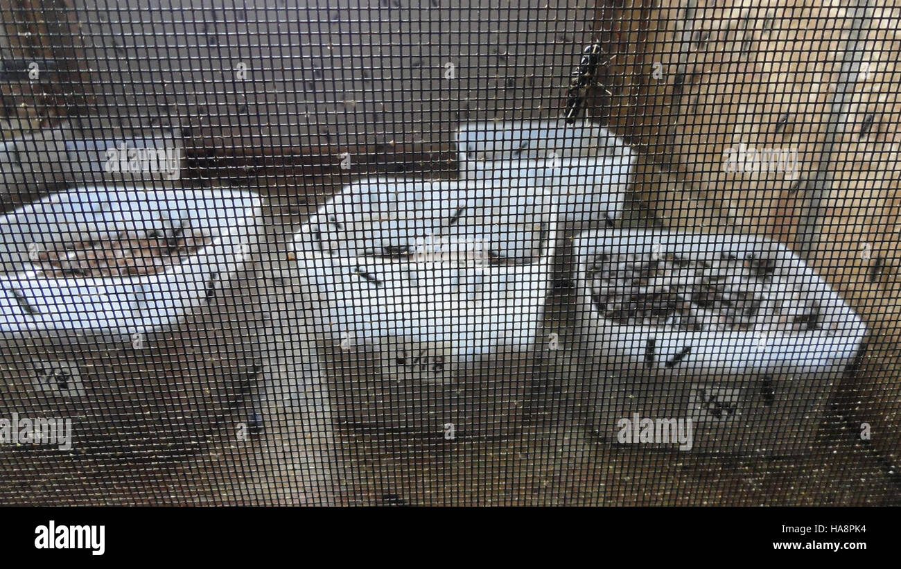 This photograph captures visitors at the Saratoga National Fish ...