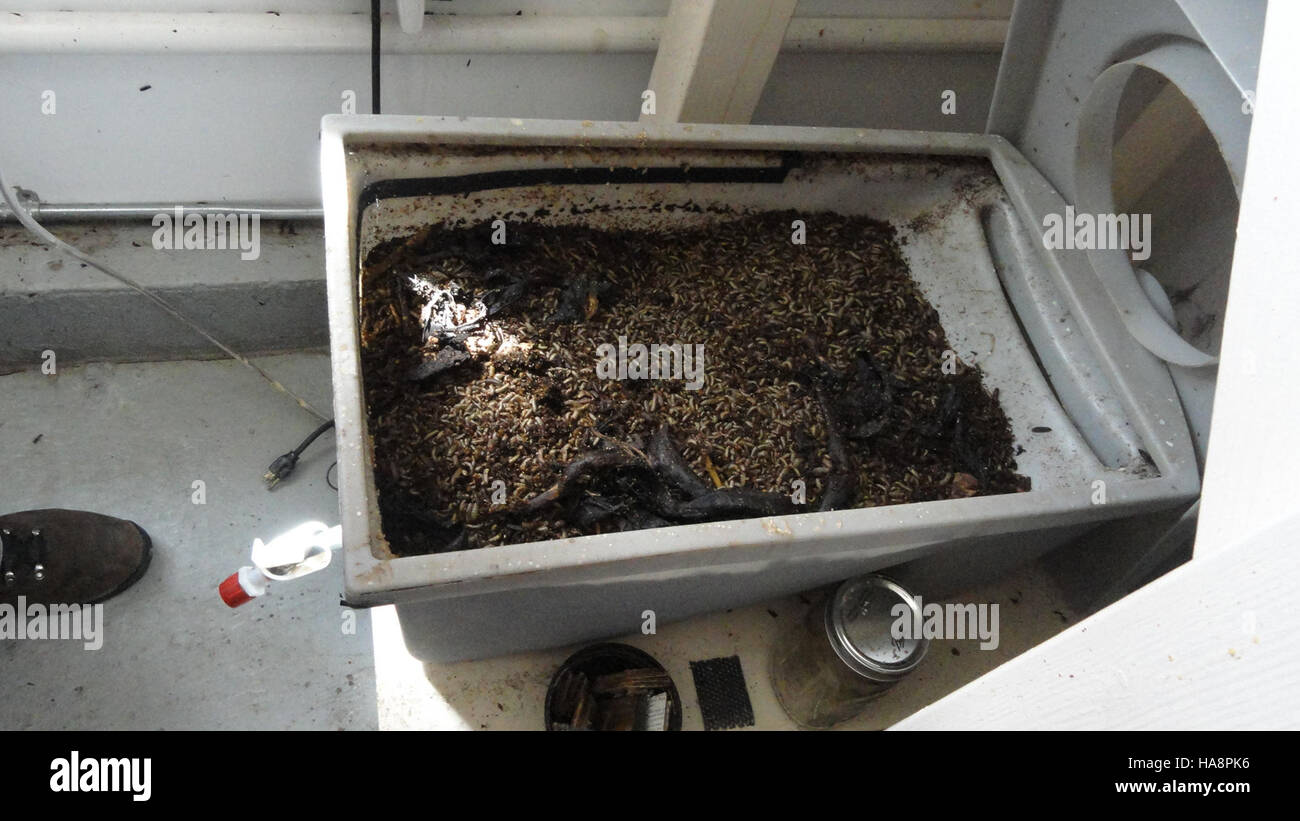 This photograph shows a visit to the Saratoga National Fish Hatchery ...