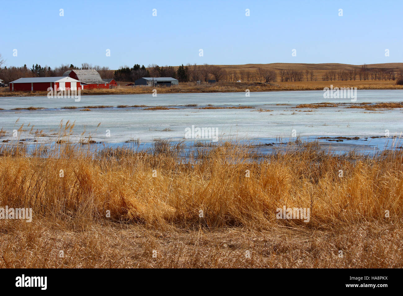The Ketterling Wetland Preservation Area (WPA) in the Midwest plays a ...