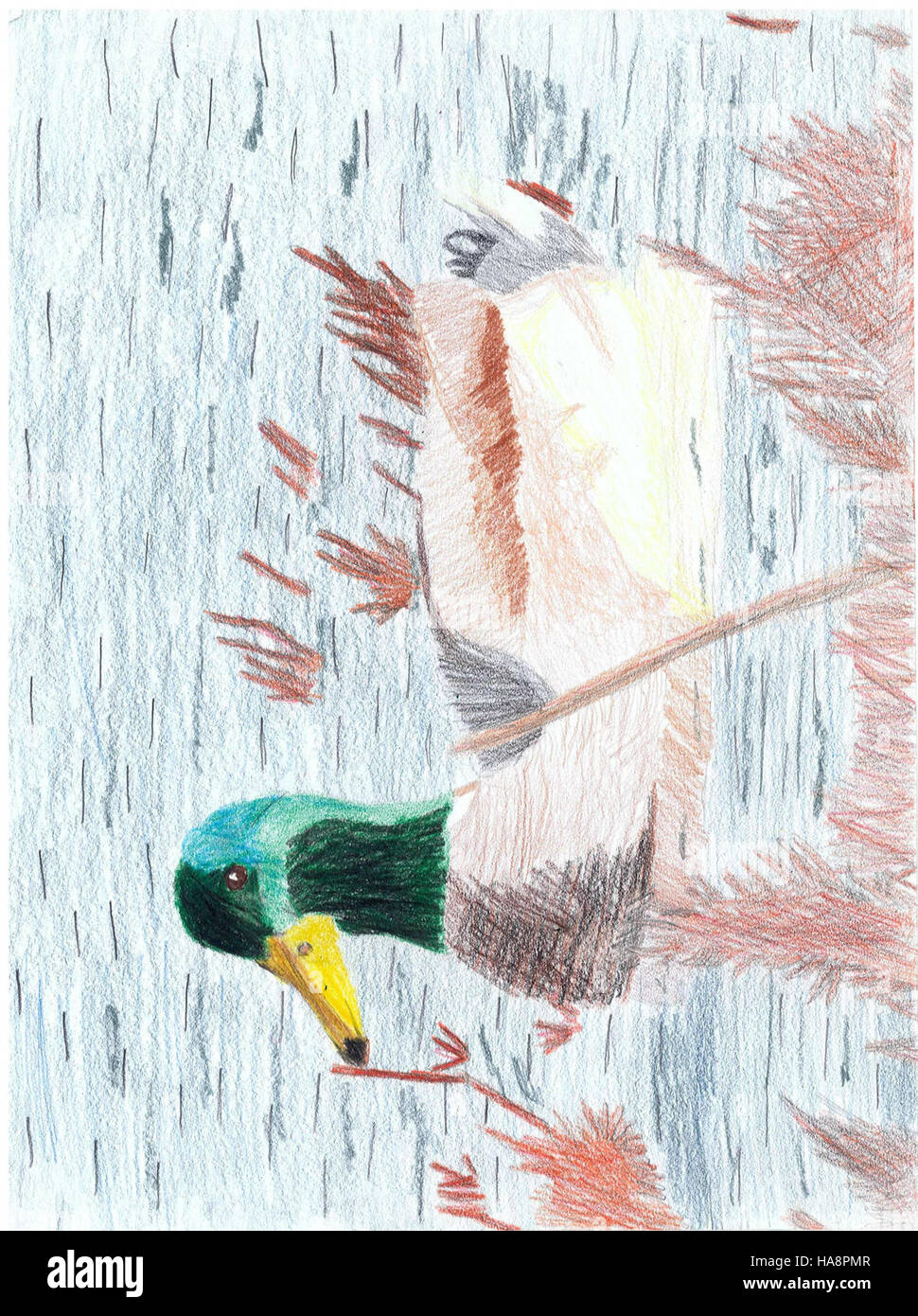 The Junior Duck Stamp Contest is a national art competition for ...