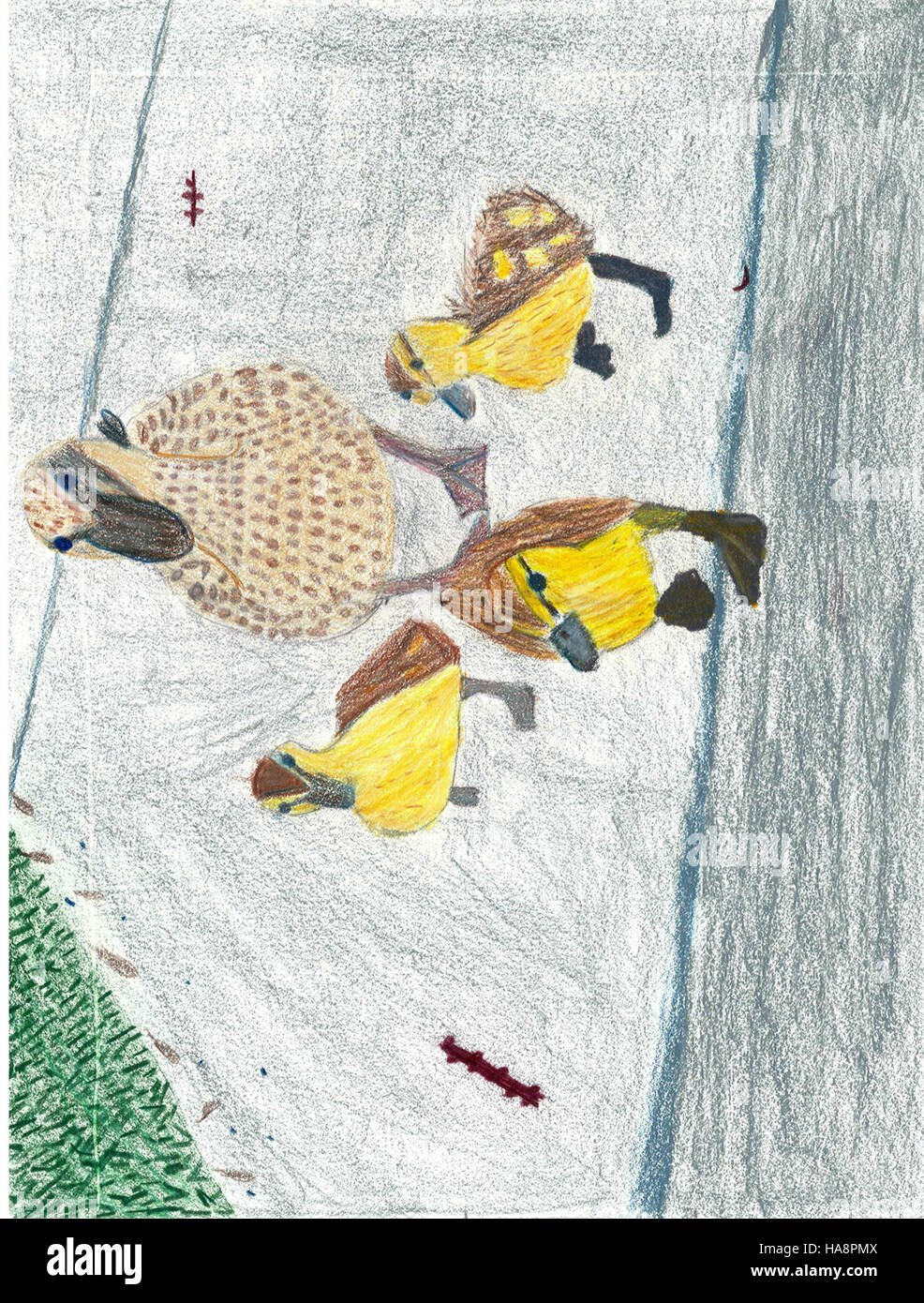 This image showcases the 2014 Jr. Duck Stamp Contest, a national event ...