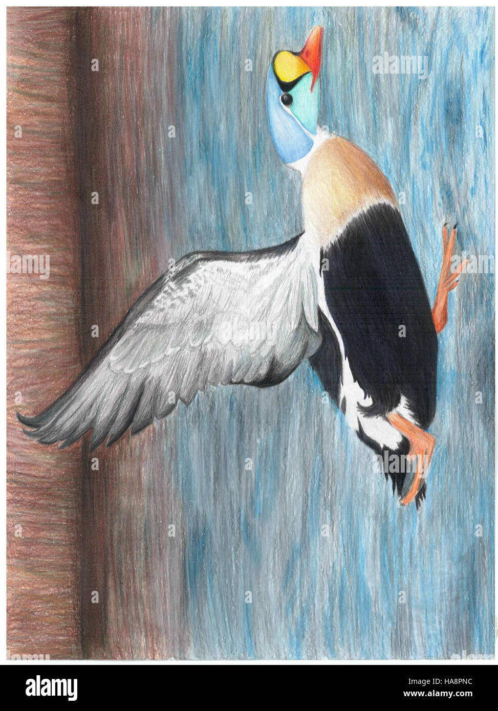 The Jr. Duck Stamp Contest of 2014 celebrates young artists and their ...