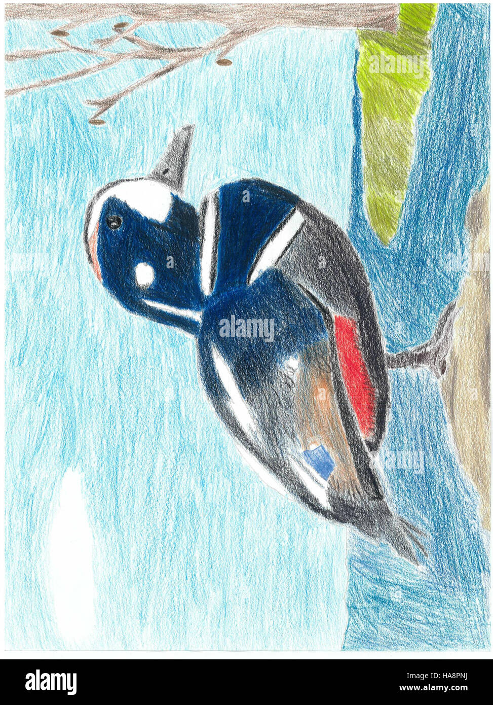 The Junior Duck Stamp Contest of 2014 encouraged young artists to ...