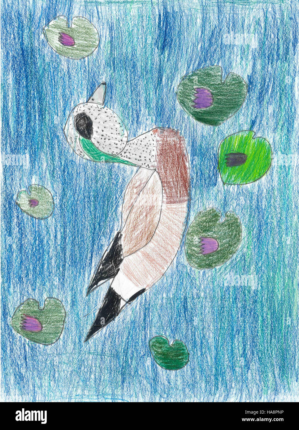 The Jr. Duck Stamp Contest 2014 is an annual competition where students ...