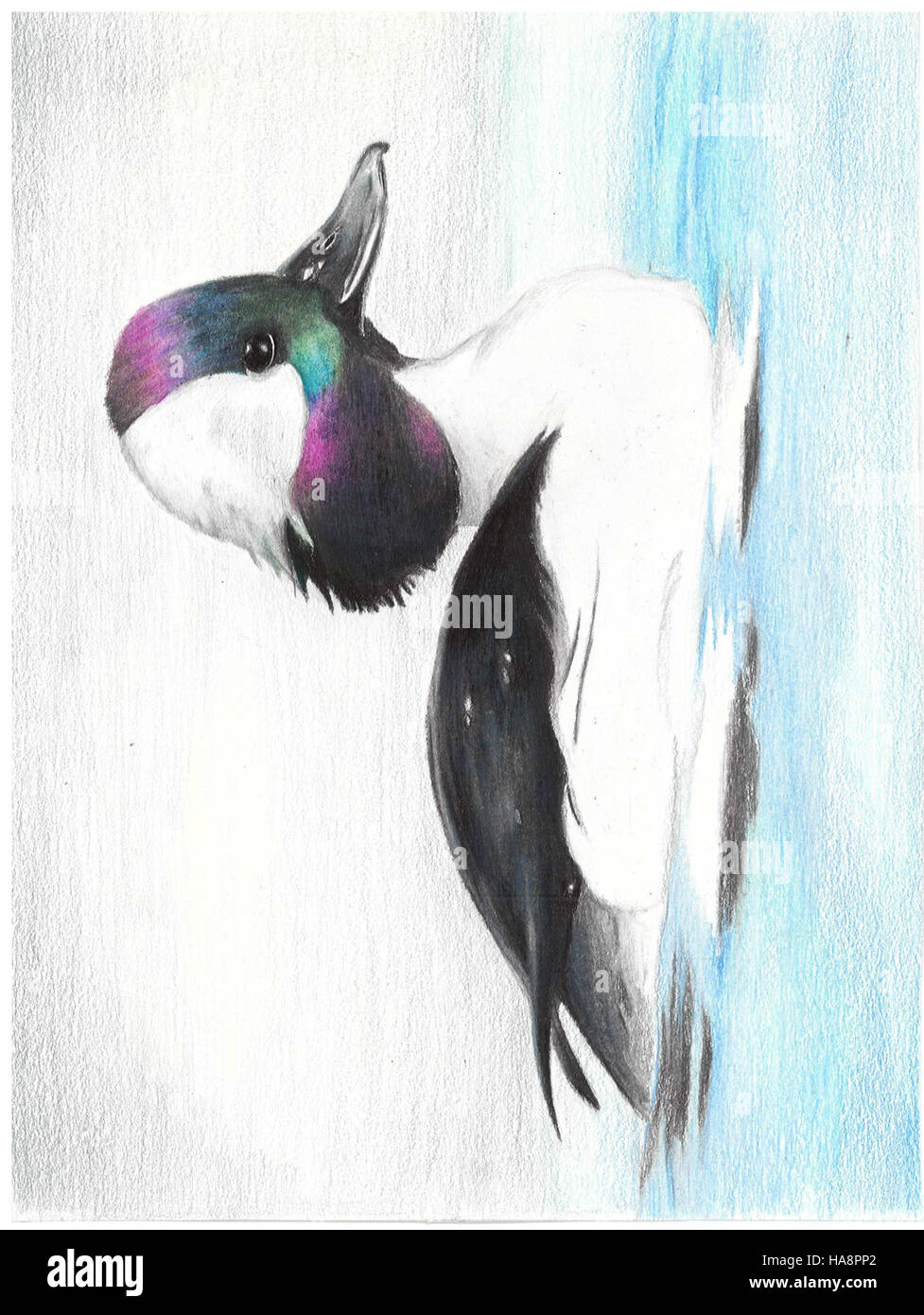 The 2014 Jr. Duck Stamp Contest celebrates young artists' contributions ...