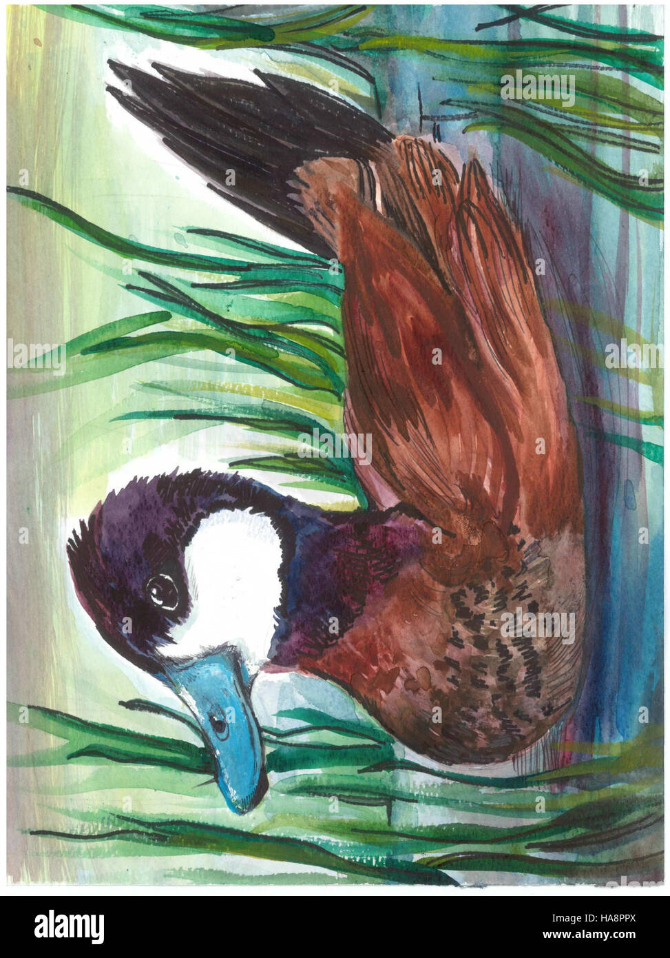The Junior Duck Stamp Contest 2014 showcased youth creativity in ...