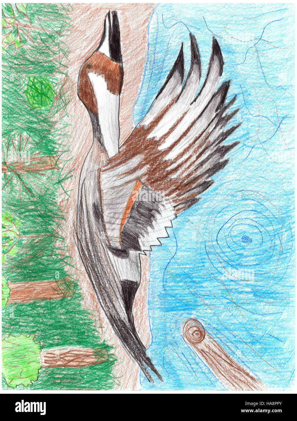 The Jr. Duck Stamp Contest 2014 showcased youth involvement in wildlife ...