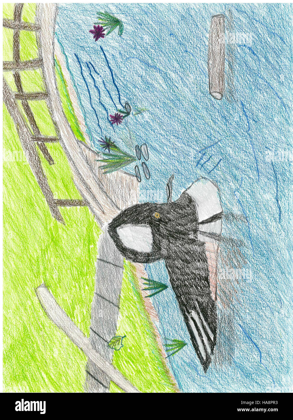 The 2014 Jr. Duck Stamp Contest encourages young artists to engage with ...