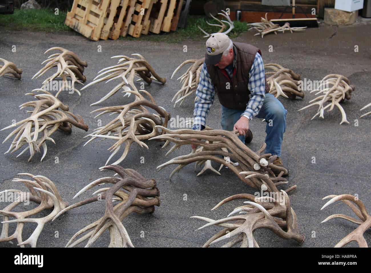 A large pile of natural debris is part of ongoing conservation efforts ...