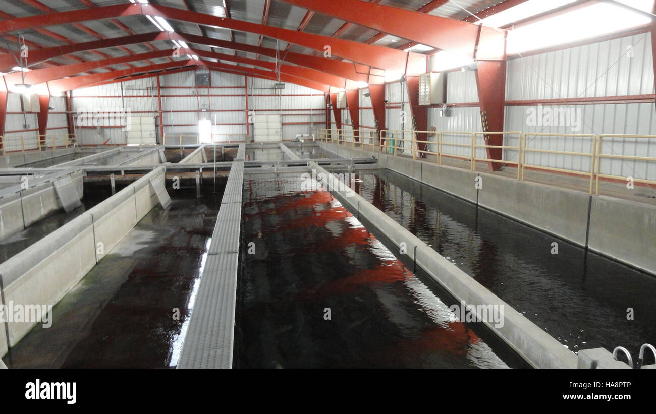 The Saratoga National Fish Hatchery in Wyoming serves as a key facility ...