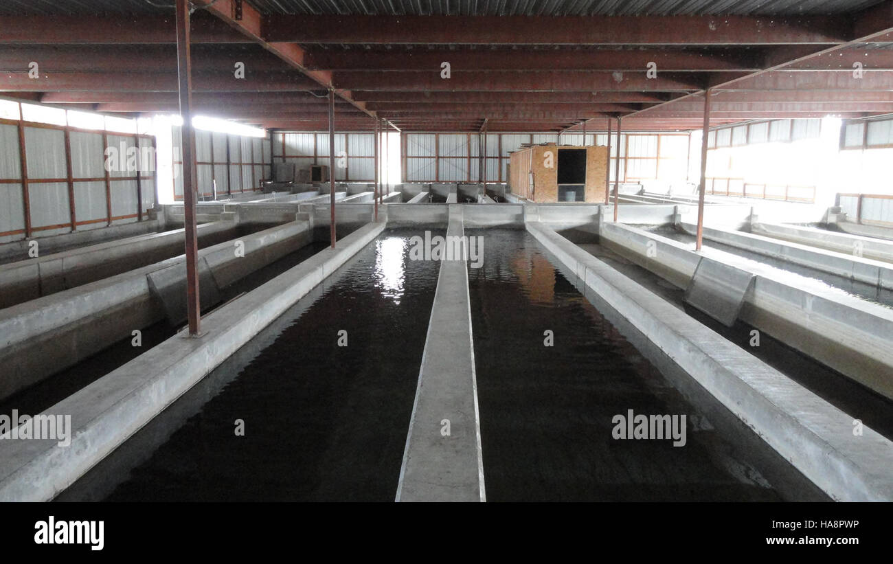 Visitors to Saratoga National Fish Hatchery learn about fish ...