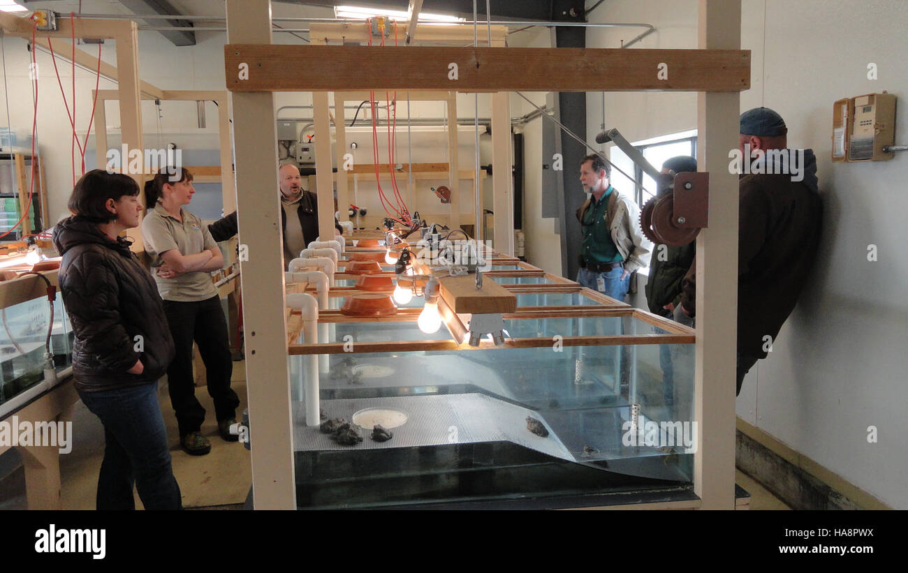 usfwsmtnprairie 14076722885 Visiting Saratoga National Fish Hatchery ...