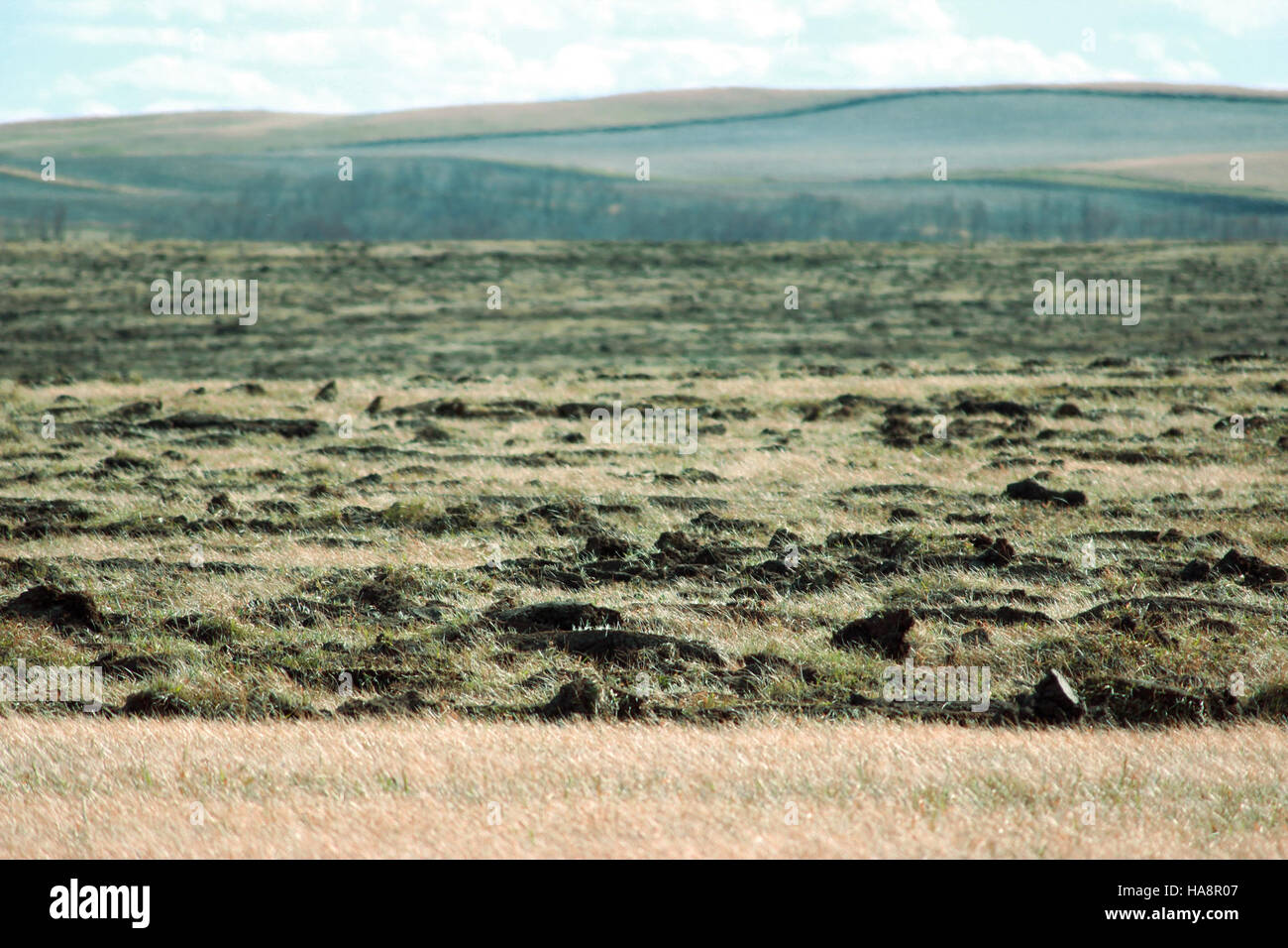 Yesterday's Prairie within the national park offers a glimpse into the ...