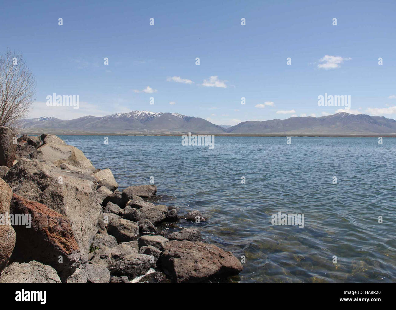 blmnevada 6996965576 Wilson Reservoir Campground Stock Photo - Alamy
