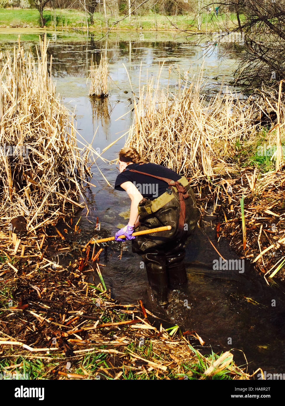 In celebration of Earth Day, the Earth Day Pond Girl event at Two Ponds ...