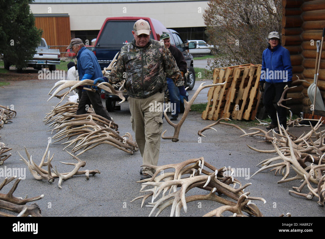 This image shows volunteers sorting wildlife specimens as part of a ...
