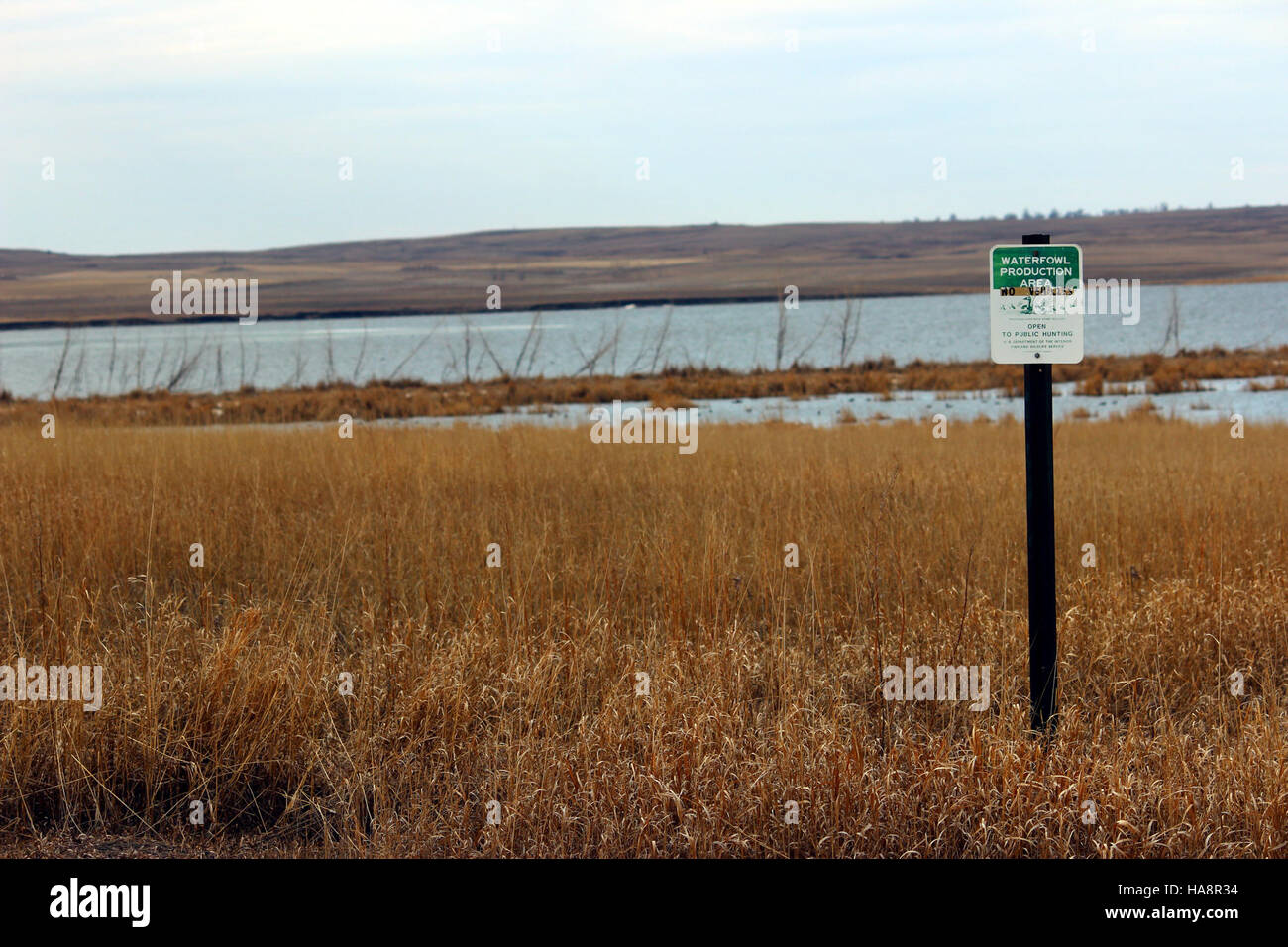 Bender park hi-res stock photography and images - Alamy