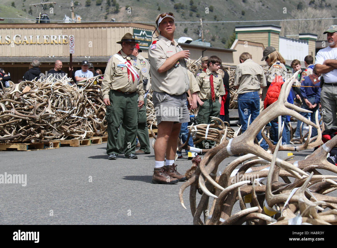 This image shows wildlife researchers monitoring animal behavior in a ...