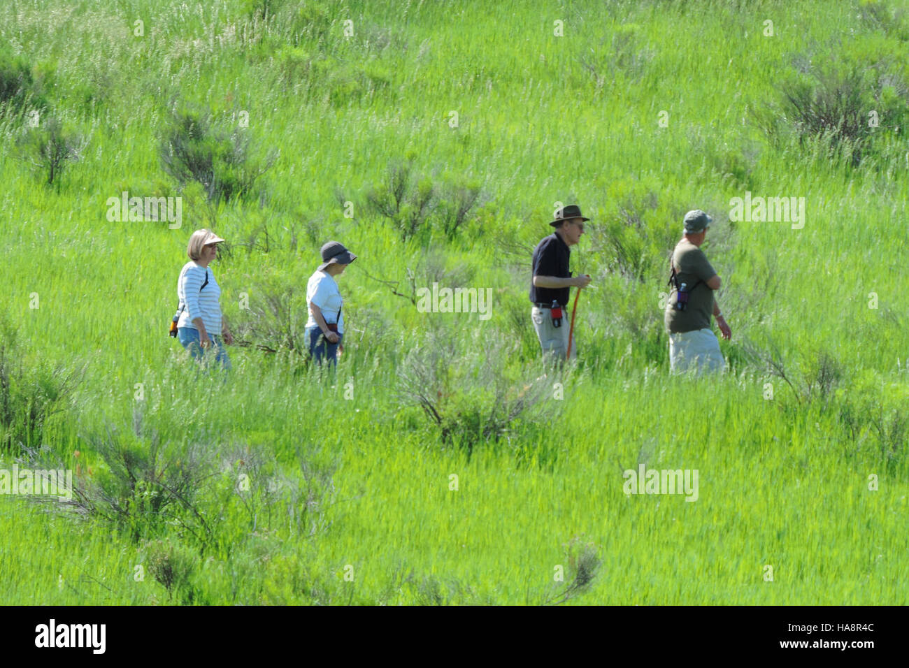 The Mountain Prairie region's national parks focus on preserving unique ...