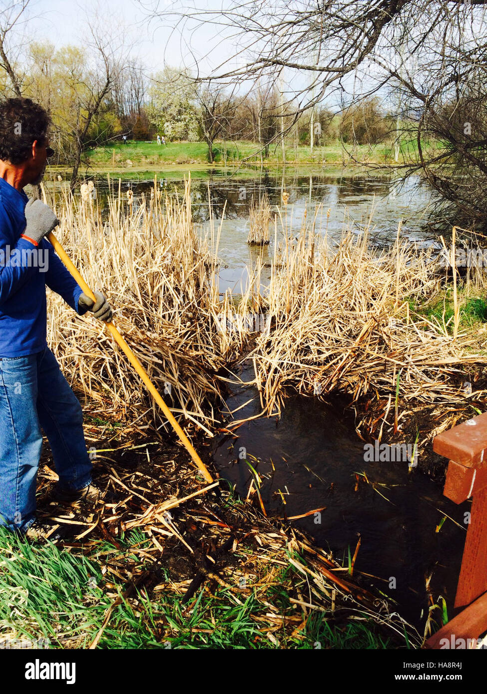 Volunteers participate in Earth Day events at national parks, helping ...