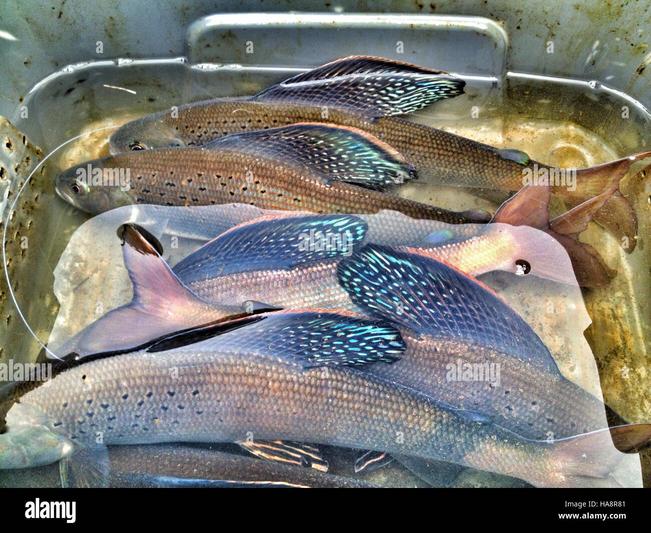 This photograph captures the beauty of a colorful natural scene in a ...