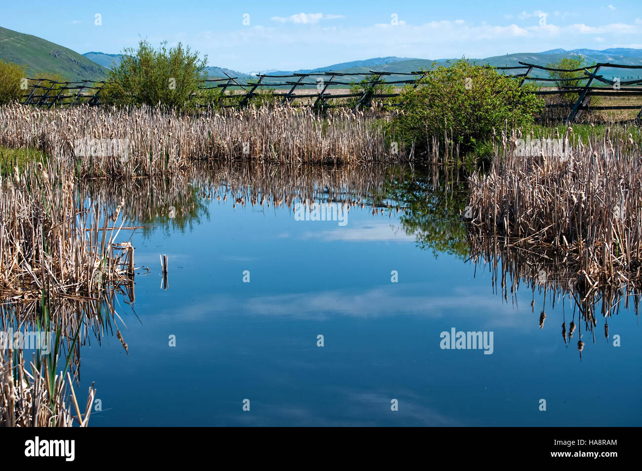 Reflections in a serene waterbody at a national park capture the ...