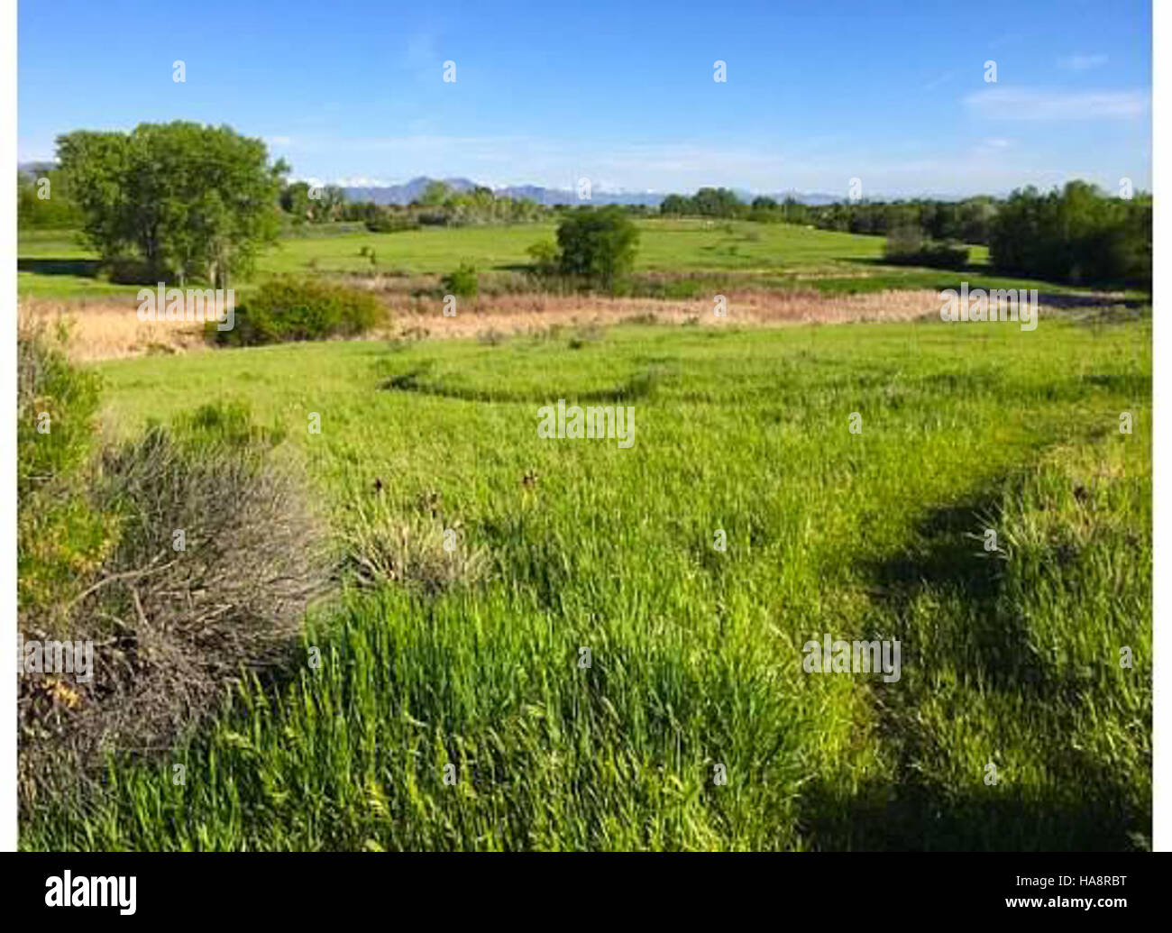 usfwsmtnprairie 14376777096 Two Ponds View Stock Photo - Alamy