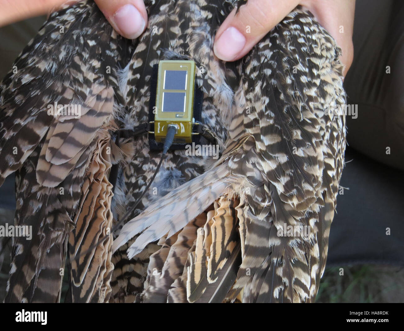 This image shows a close-up view of a transmitter in the Mountain ...