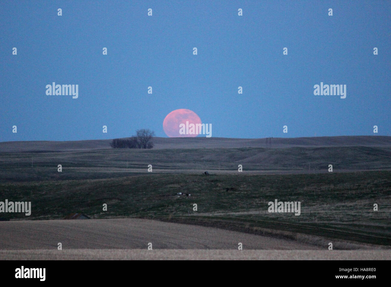 A red moon rises over a national park, creating a stunning visual ...