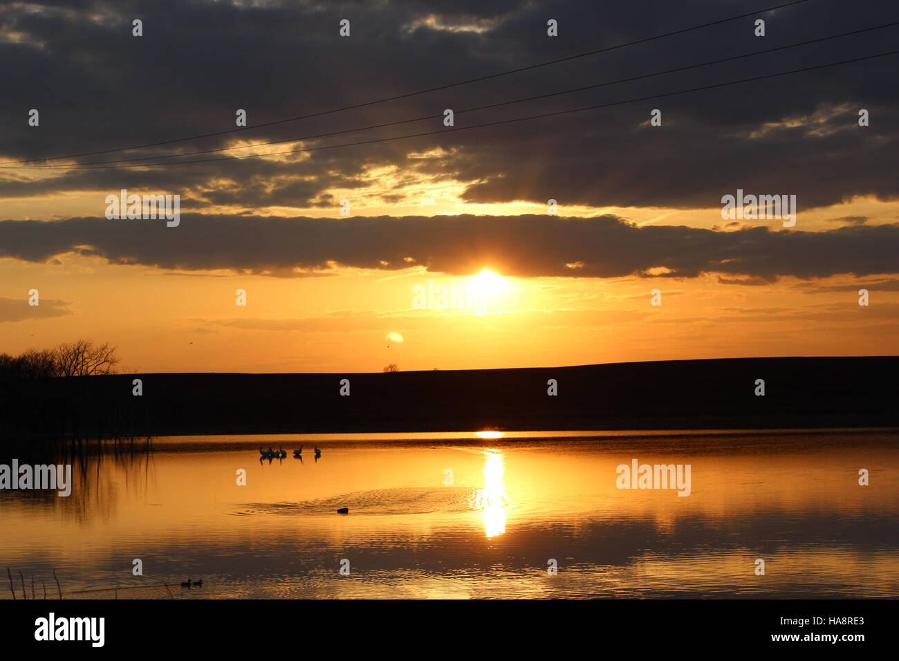 A Touch of Gold is a photograph taken in the national park showcasing a ...