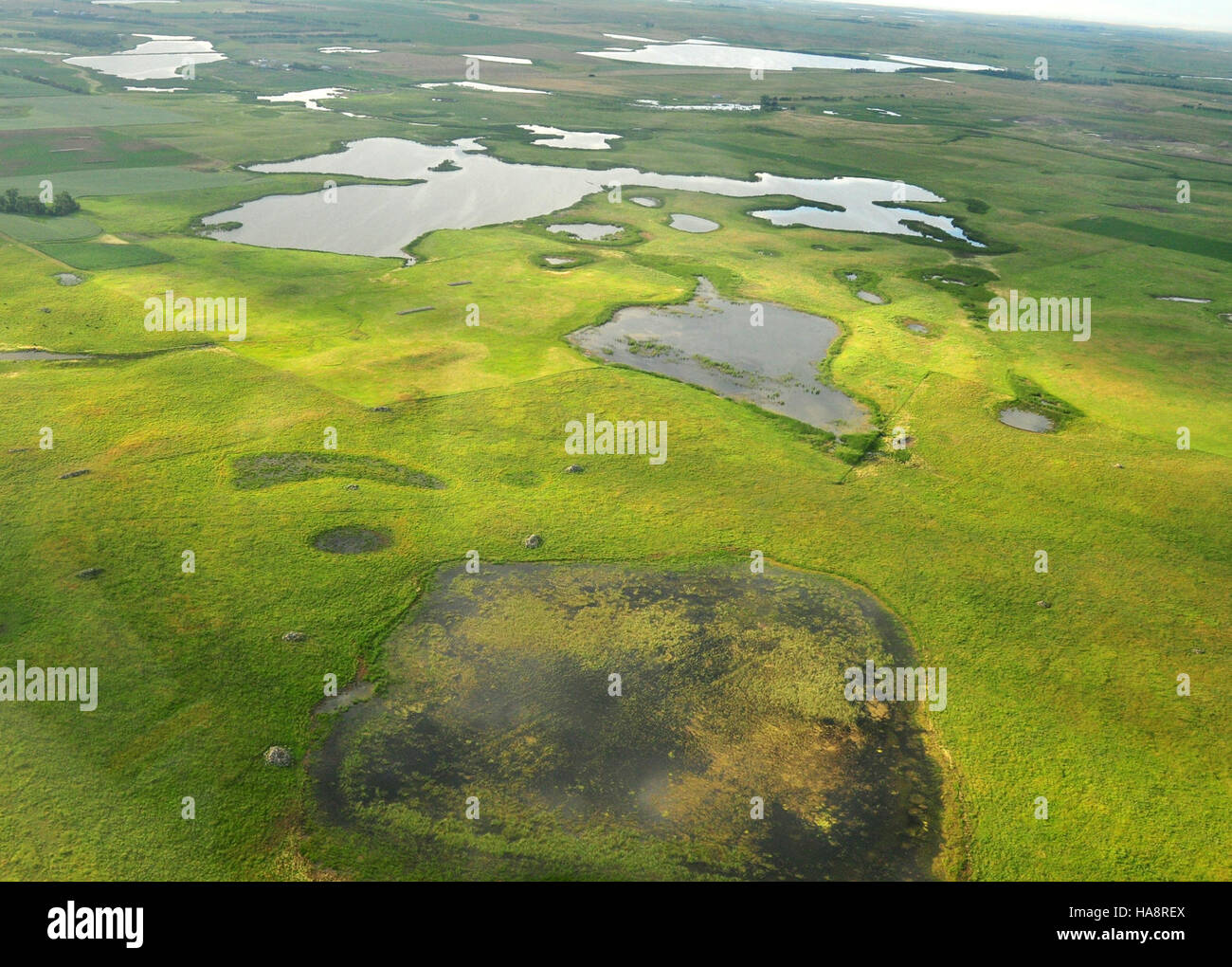 Grassland conservation easements are implemented on Sand Lake Wetland ...