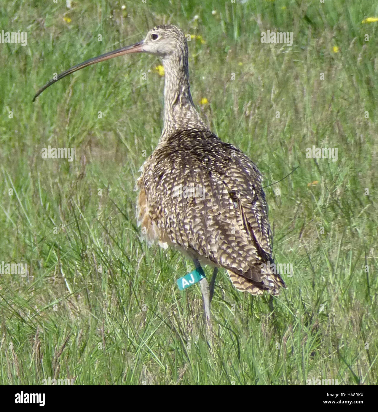 A wildlife observation at a national park invites visitors to carefully ...