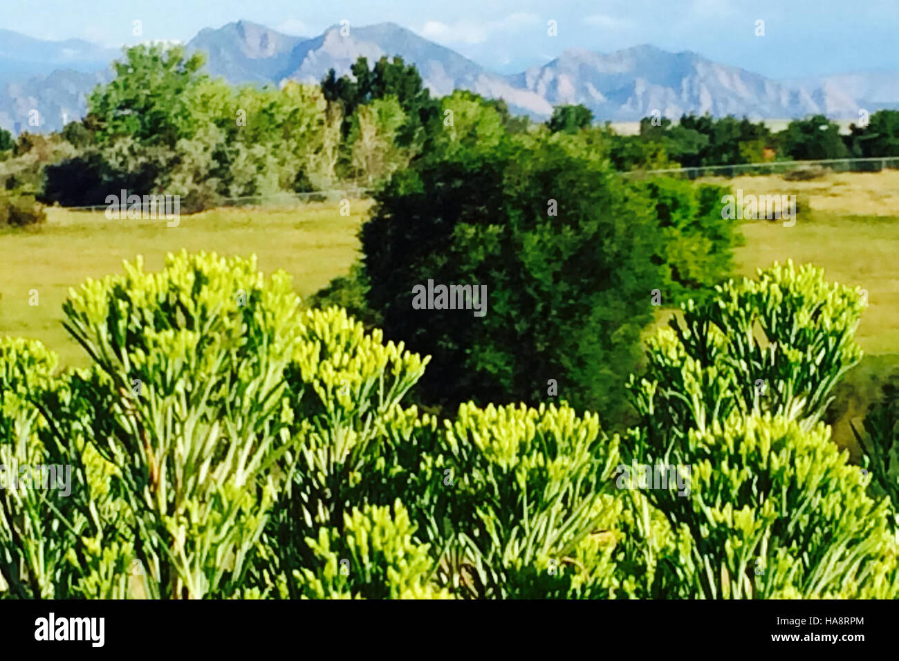 This image depicts the scenic beauty of Two Ponds National Park ...